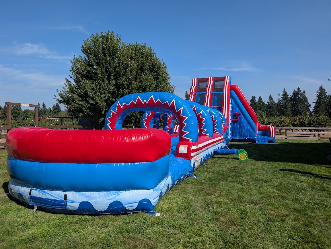 The Flash Dual Mega Slide with Slip N Slide - Bounce House Rentals ...